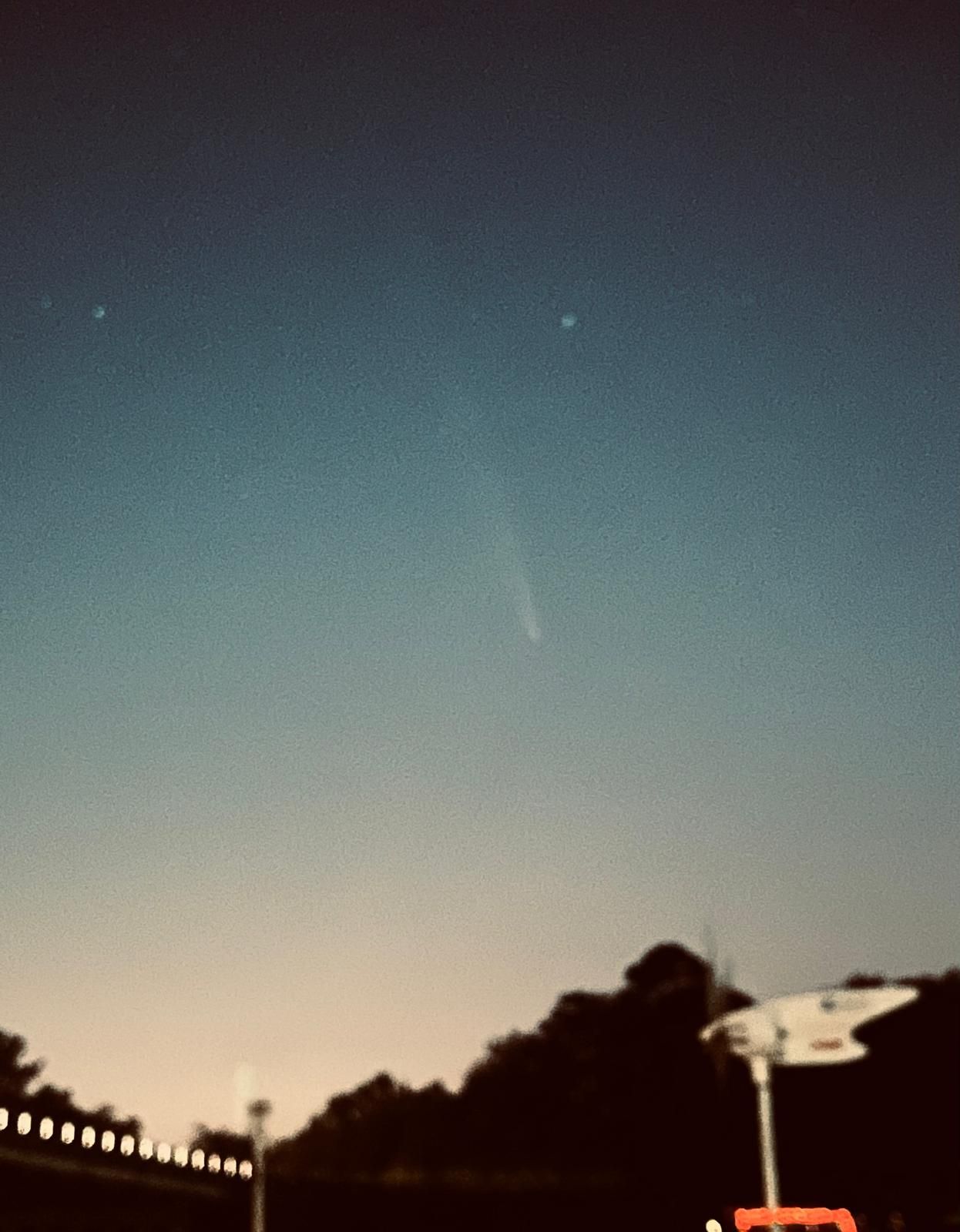 The Skies – Life on Lailia